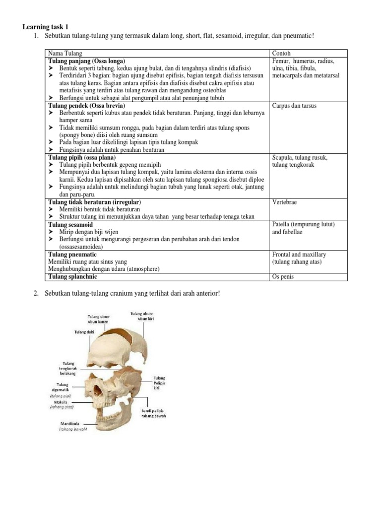 Learning Task 1 | PDF