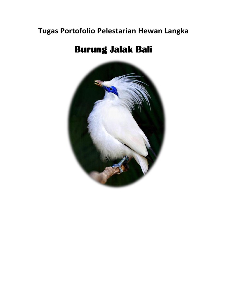 Makalah Burung Jalak Bali | PDF
