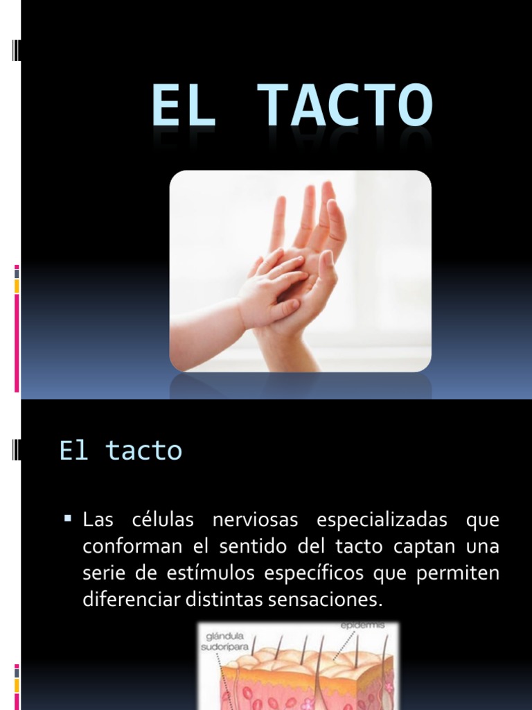 TACTO | PDF | Evaluación neuropsicológica | Conceptos psicologicos