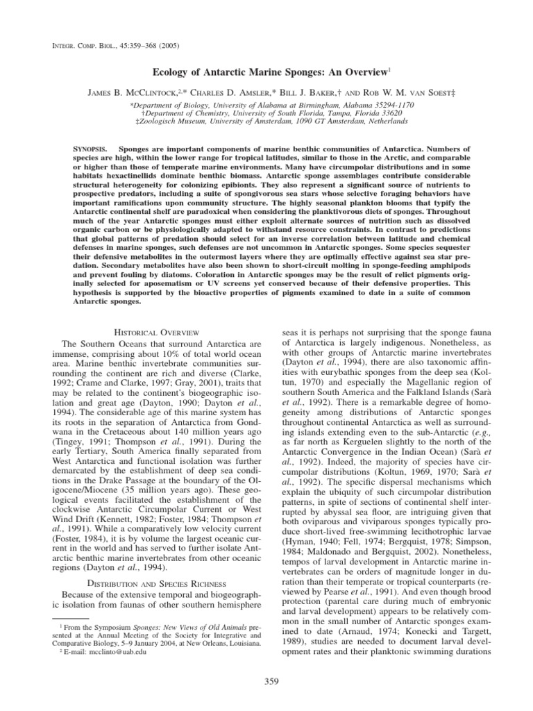 Antarctic Marine Sponges Overview | PDF | Antarctica | Sponge