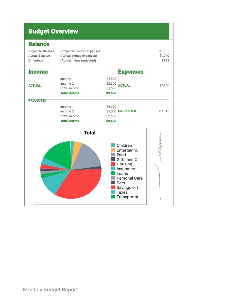 Budget Overview | PDF | Expense | Income