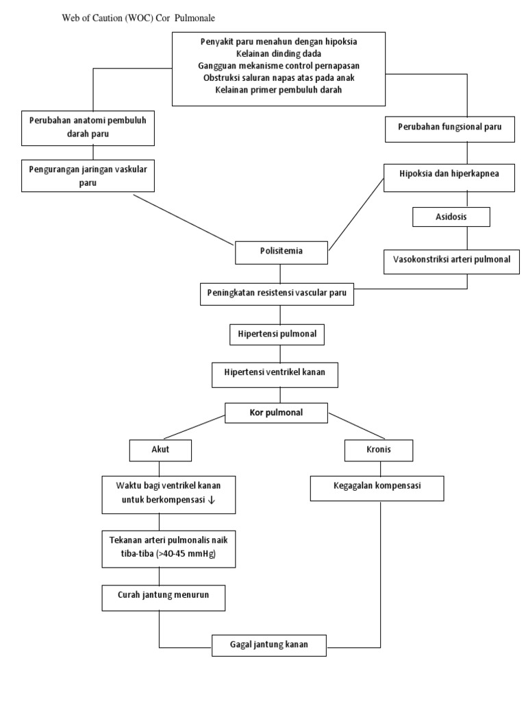 PTW Cor Pulmonal | PDF