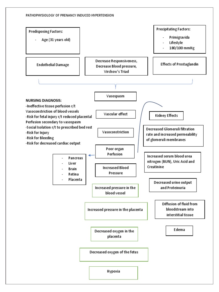 Pathophysiology of Pregnancy Induced Hypertension | Placenta | Blood Vessel