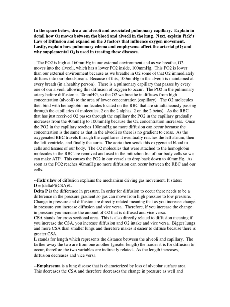 Bio 336 Physio Exam 2 Essays | PDF | Heart Valve | Heart