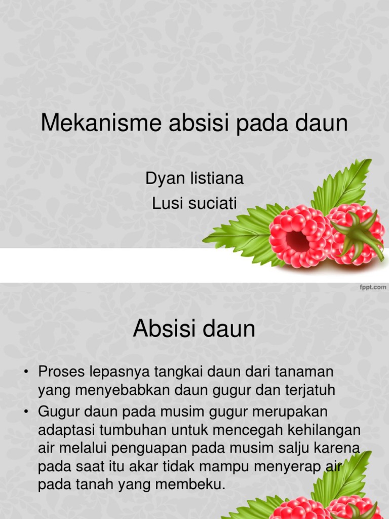 Mekanisme Absisi Pada Daun | PDF