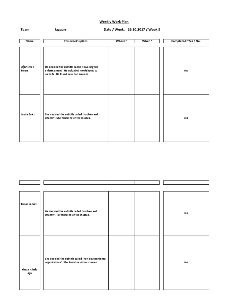 Weekly Work Plan | PDF