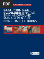 Doloplus 2 Tool | PDF | Pain | Medicine