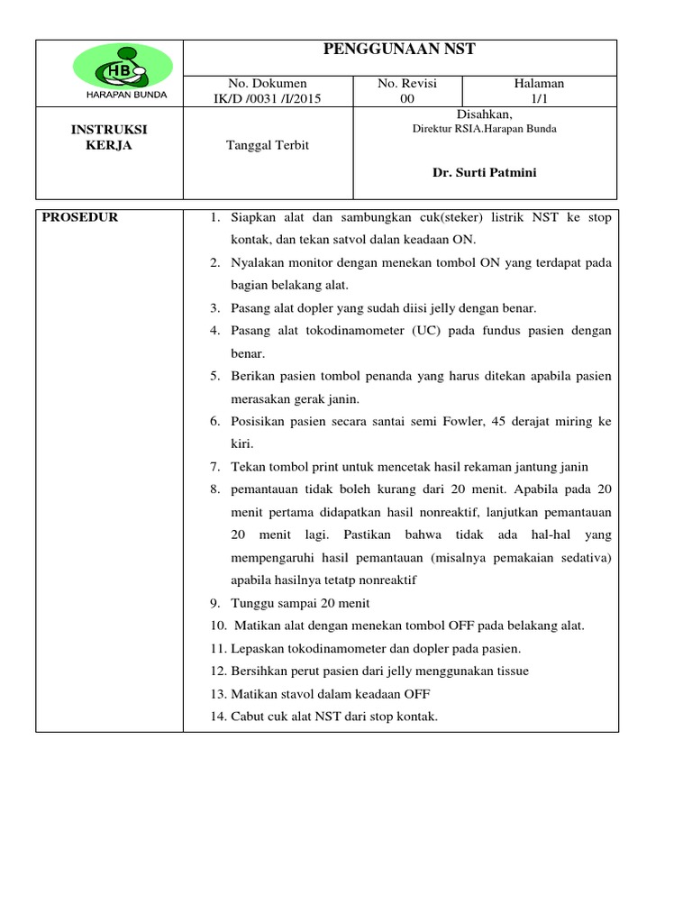 Penggunaan NST | PDF