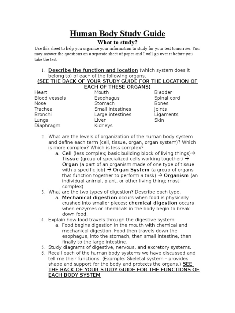Human Body Systems Study Guide | PDF | Human Body | Digestion