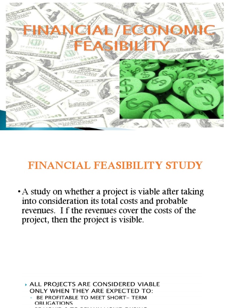 Financial Feasibility Study Overview | PDF