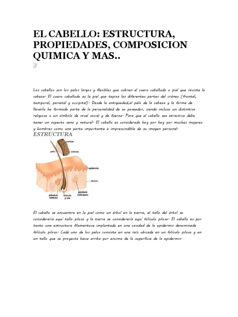 El Cabello, Estructura y Su Composicion | Pelo | Sistema tegumentario