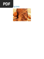 Fundamentos de Iroko | PDF | Religião étnica | Santeria