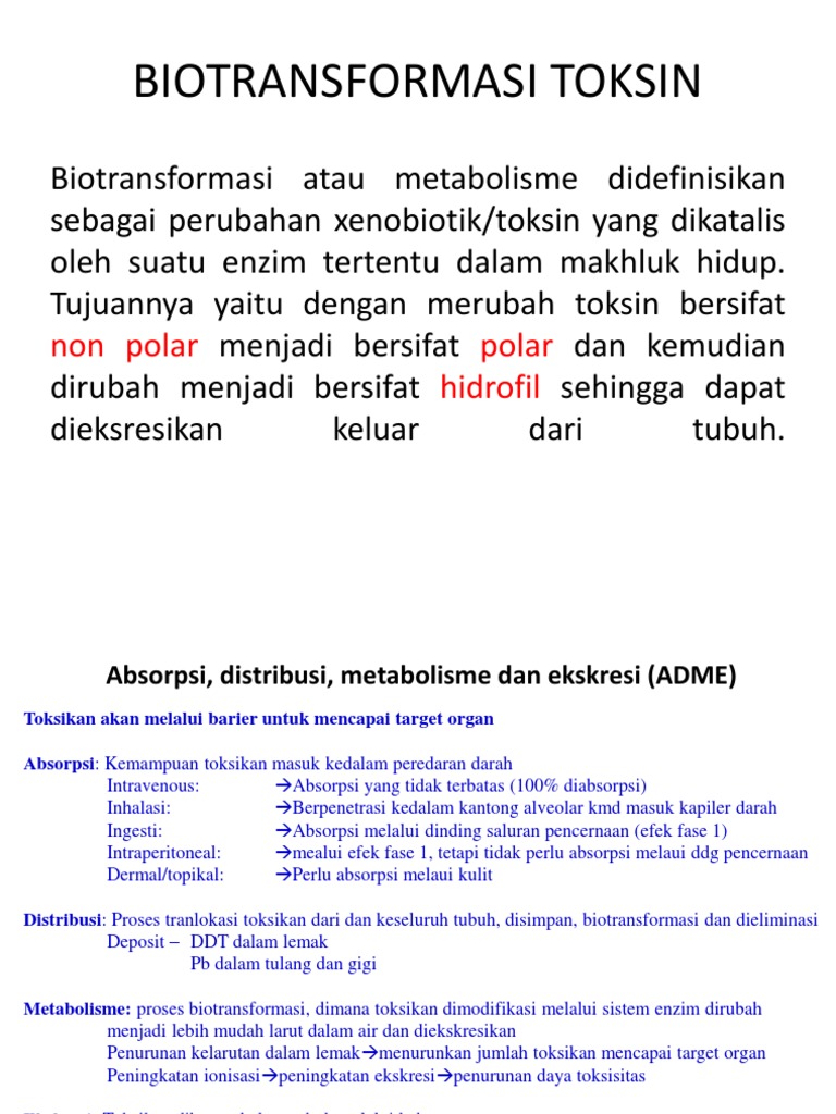 Biotransformasi Toksikan | PDF
