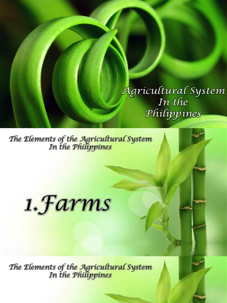 Characteristics of Agricultural System | PDF | Agriculture | Agronomy