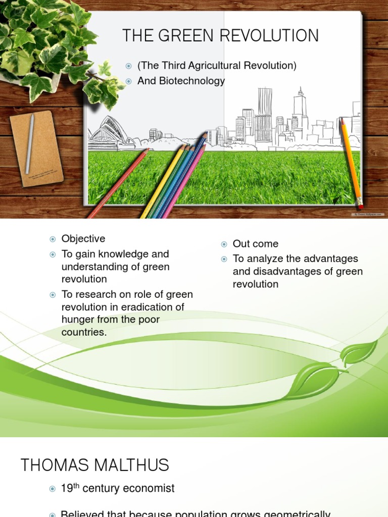 Green Revolution | PDF | Green Revolution | Rice