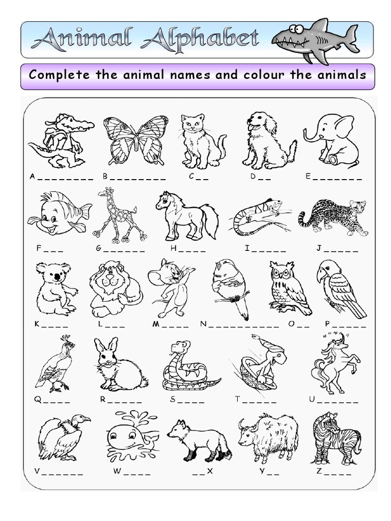 Animal Alphabet | PDF