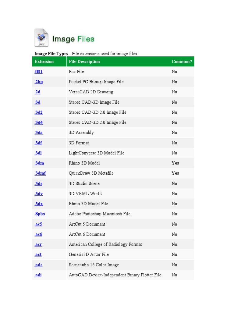 Image File Types | PDF | Computer File Formats | Computer Data