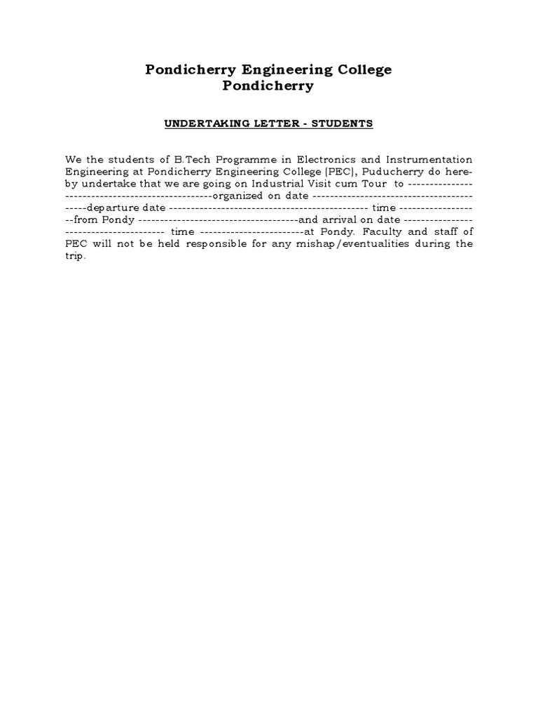 Undertaking Letter | PDF | Government | Social Institutions