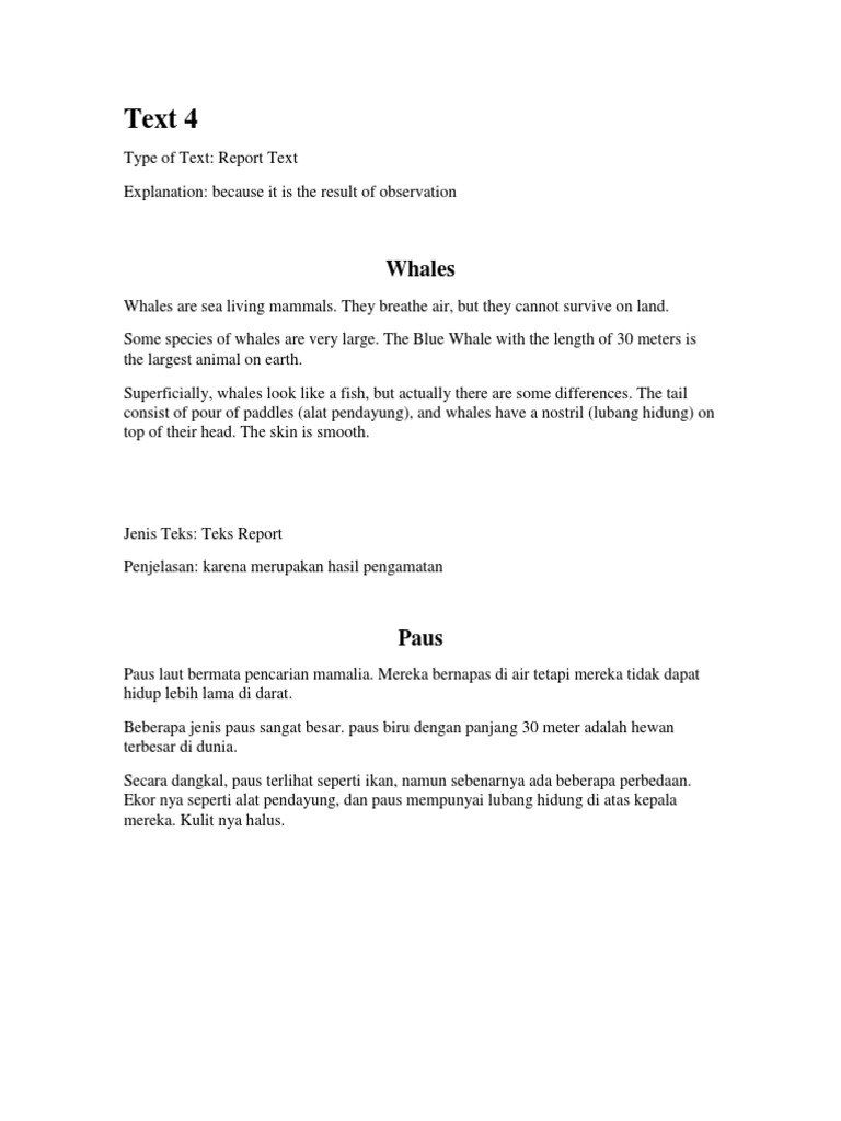 Report text and Narative text | Alam