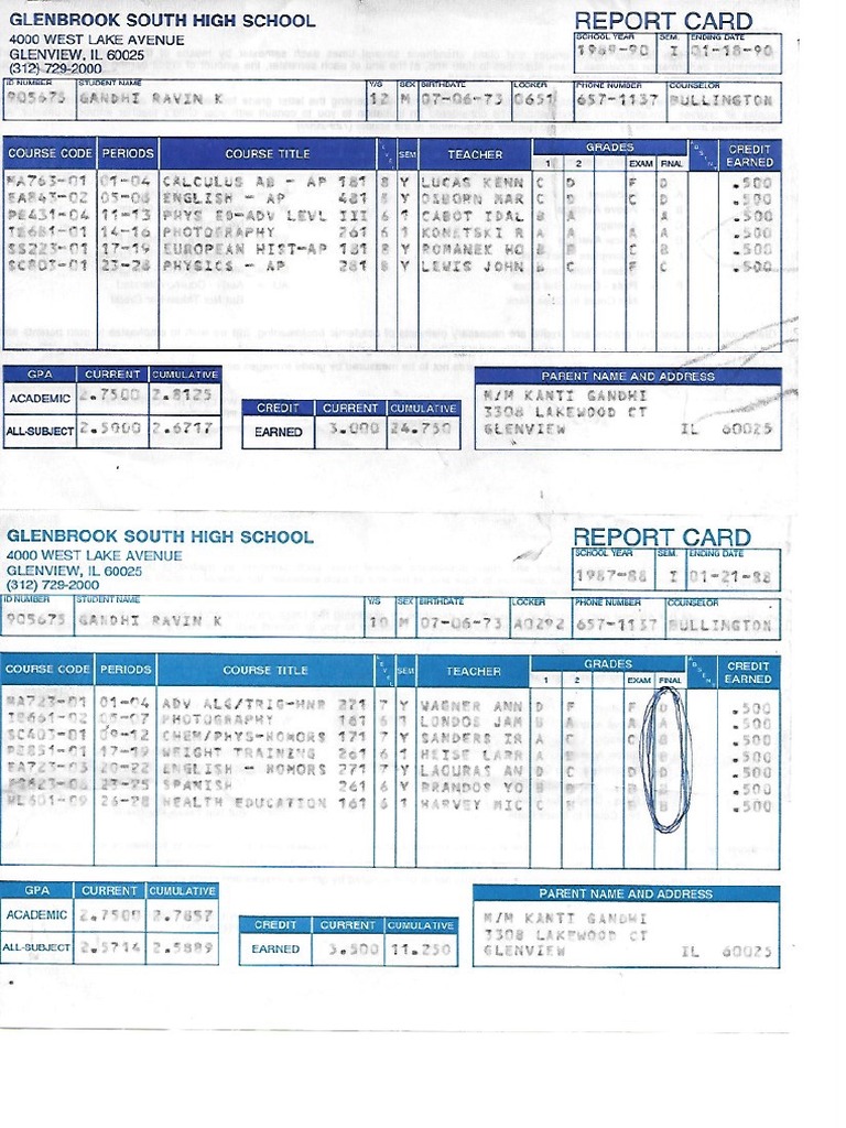 Ravin Gandhi High School Report Card | PDF