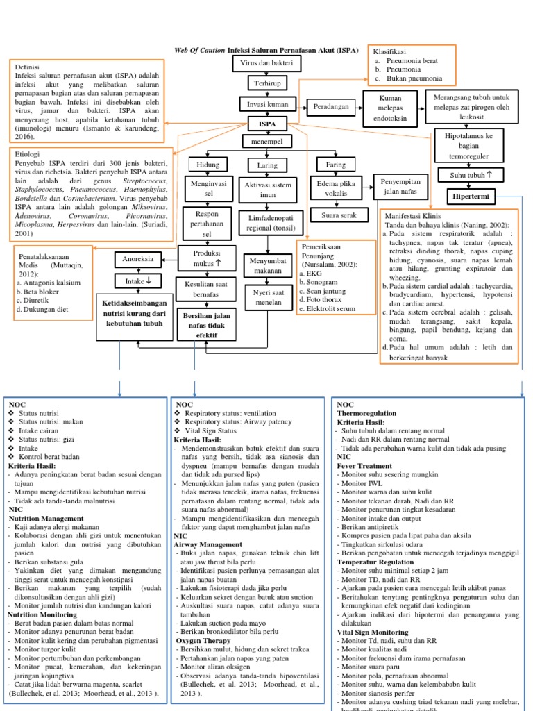 Web Of Caution pada ISPA Anak | PDF