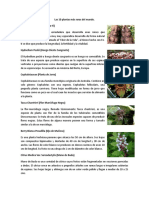 Obras Con Eggun | PDF | Cocina occidental | Comida regional y étnica