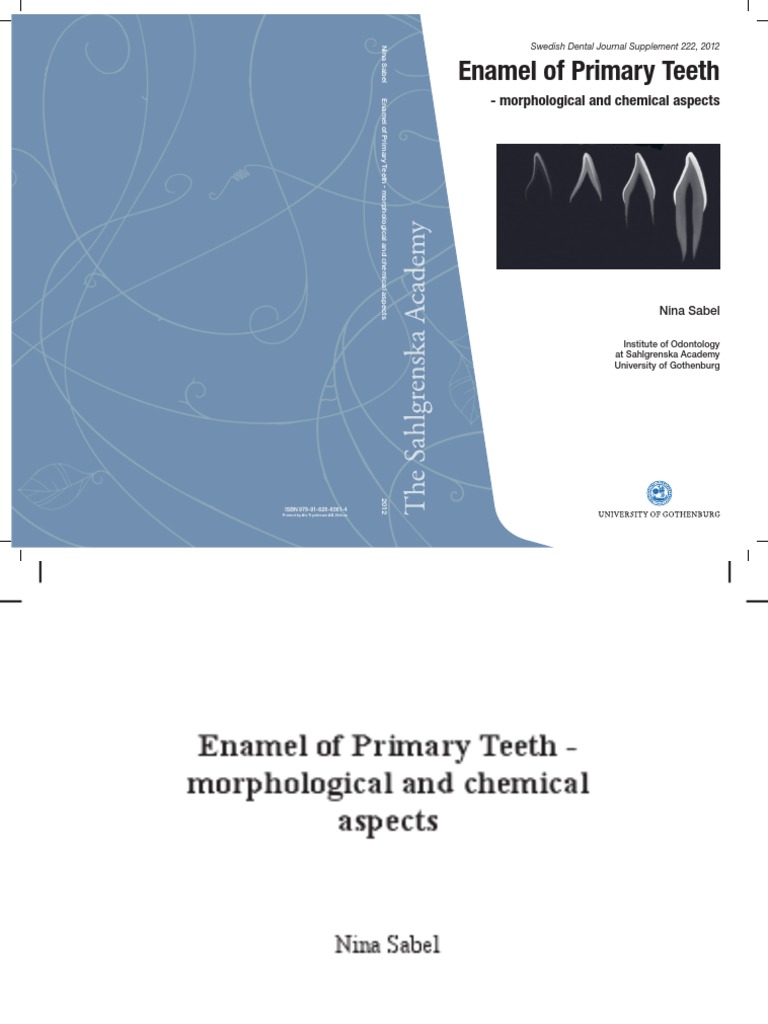 Morphological of Primary Teeth | PDF | Tooth Enamel | Human Tooth