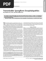 Ctpat 17 Point Inspection Checklist PDF | PDF | Law