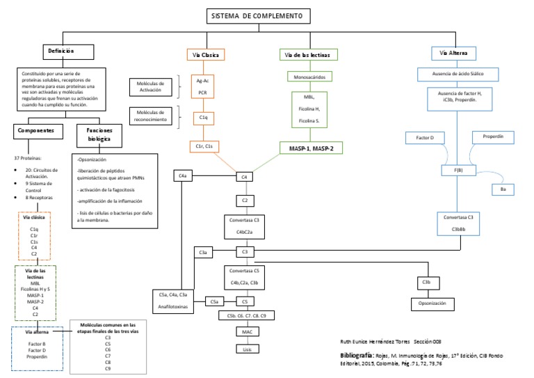 Sistema de Complemento | PDF | Sistema complementario | Fisiologia Animal