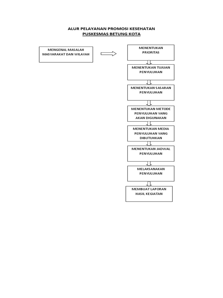 Alur Pelayanan Promosi Kesehatan | PDF