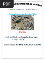 SST Class9 Disaster Management Project | PDF | Flood | Emergency Management