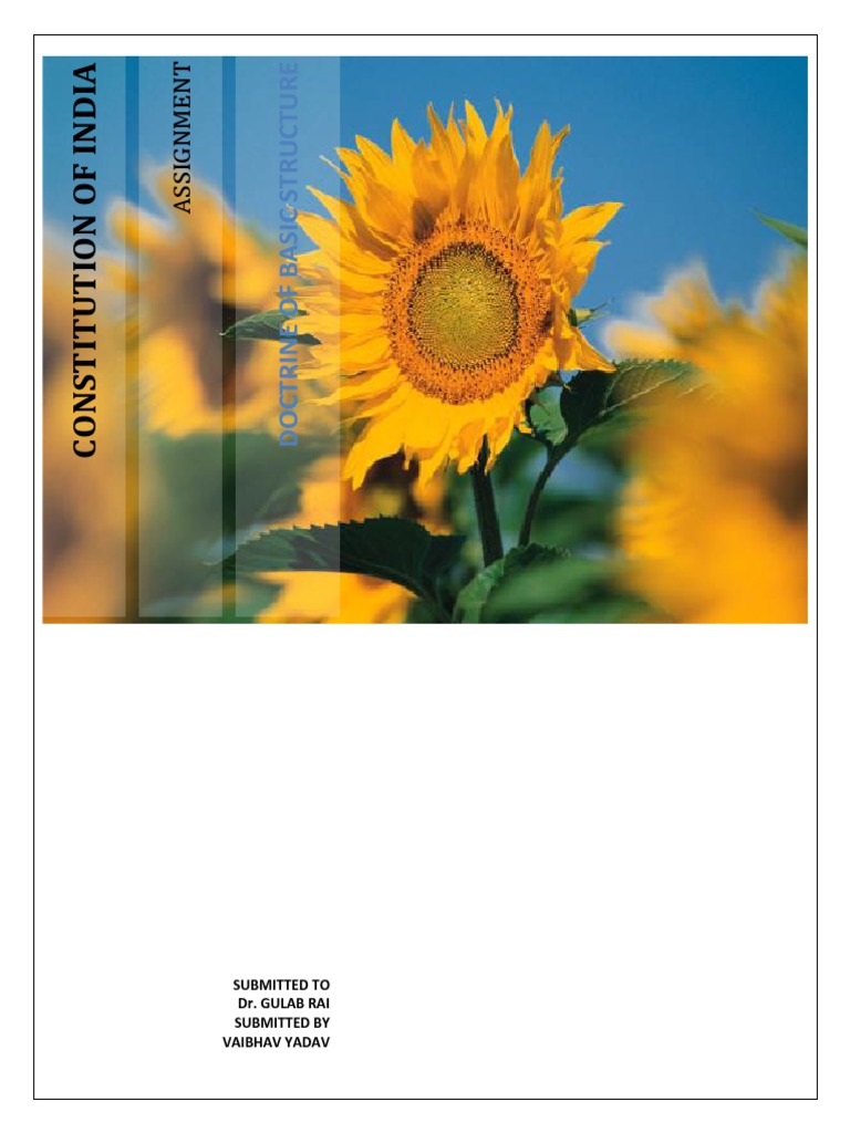 Doctrine of Basic Structure | PDF | Supreme Court Of India | Constitution