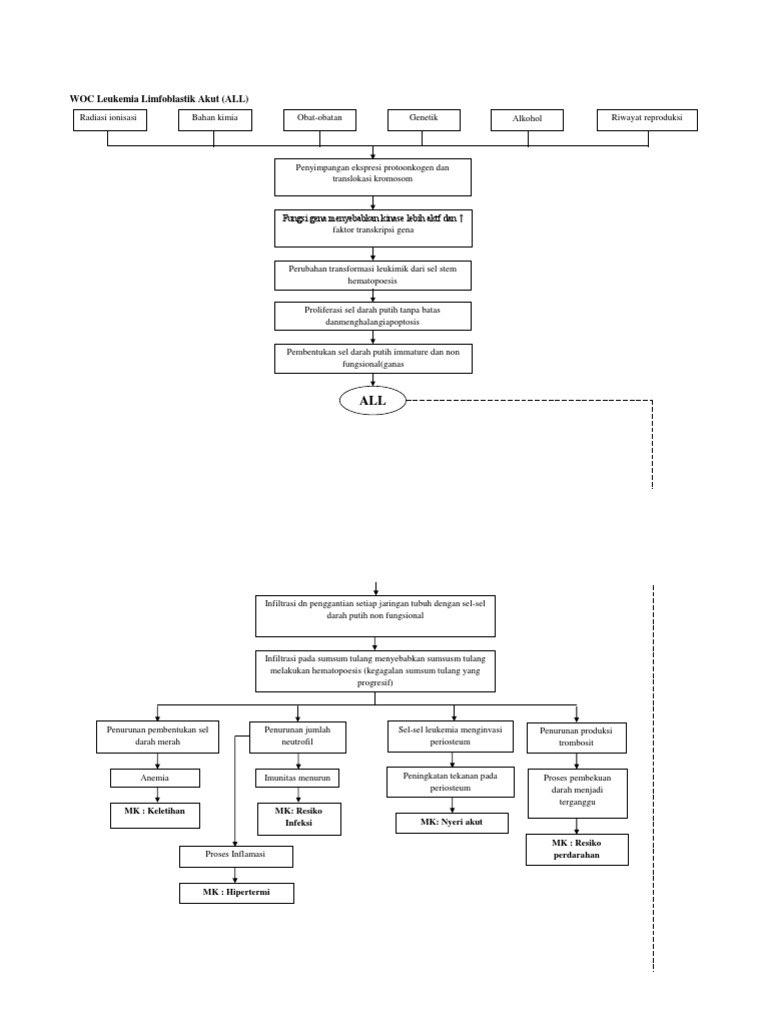 WOC Acute Limfoblast Leukemia | PDF