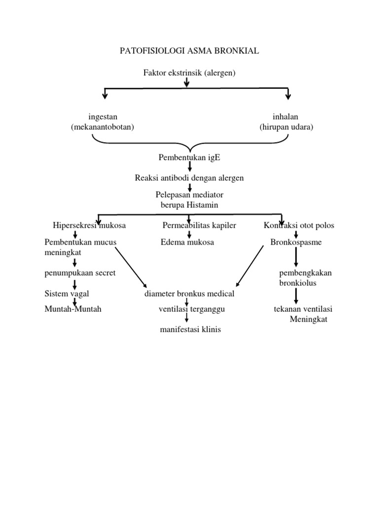 Patofisiologi Asma Bronkial | PDF