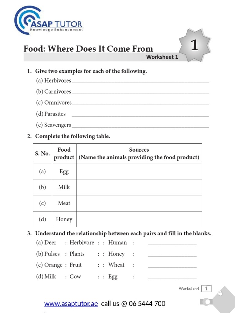 06 Science Worksheets | PDF | Solubility | Solution