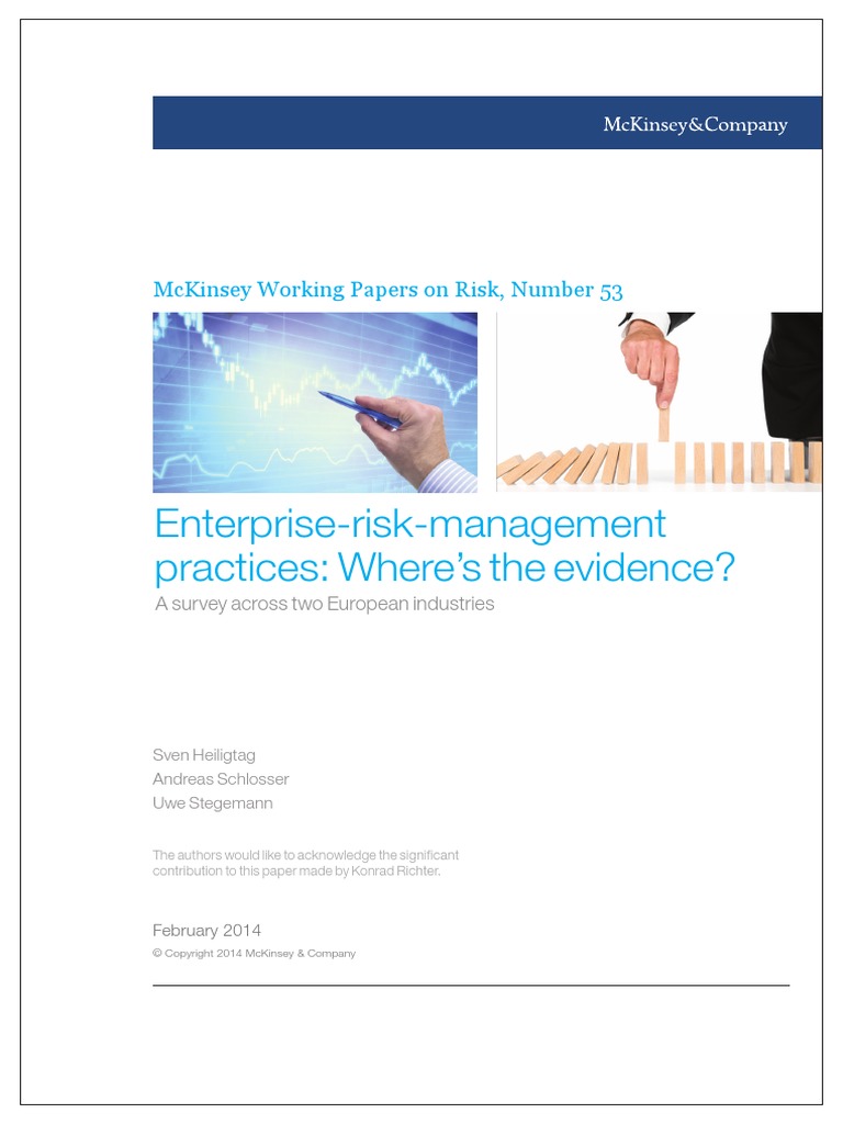 Mckinsey Guide | Enterprise Risk Management | Risk Management