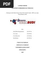 Laporan Praktikum UJI KATALASE BAKTERI | PDF