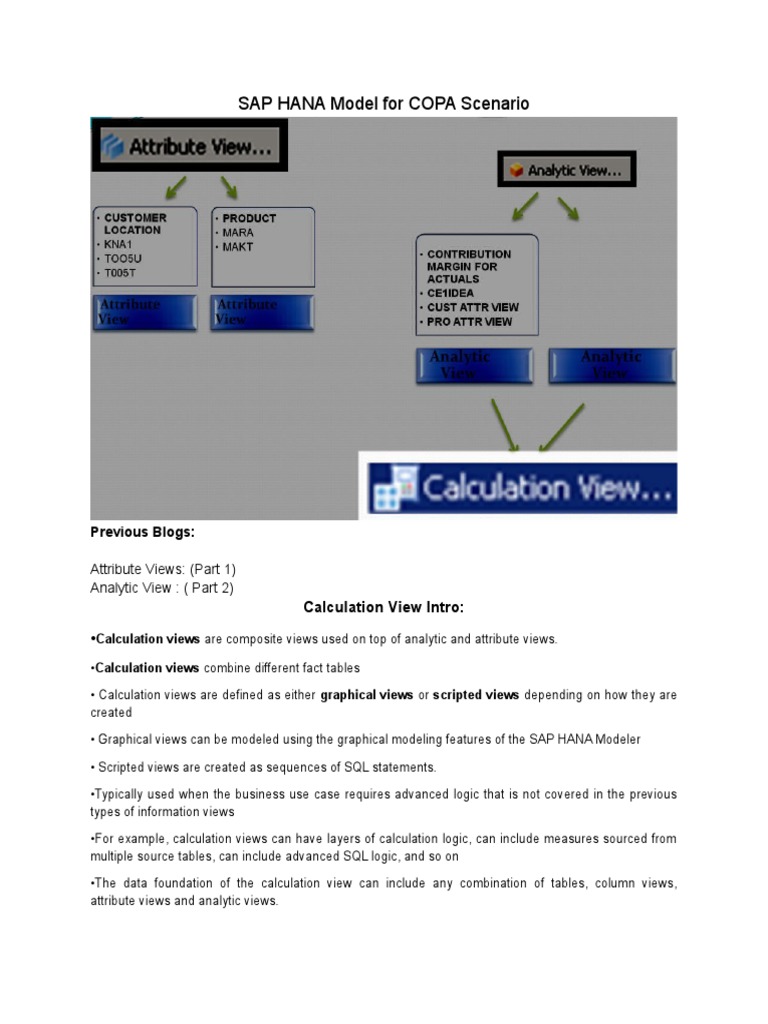 SAP HANA Model For COPA Scenario: Previous Blogs | PDF | Table ...