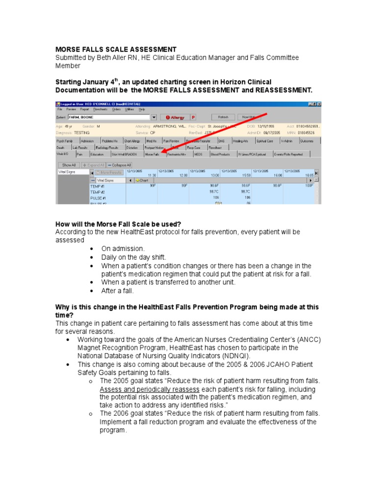 Morse Fall Scale Assessment | Patient | Nursing