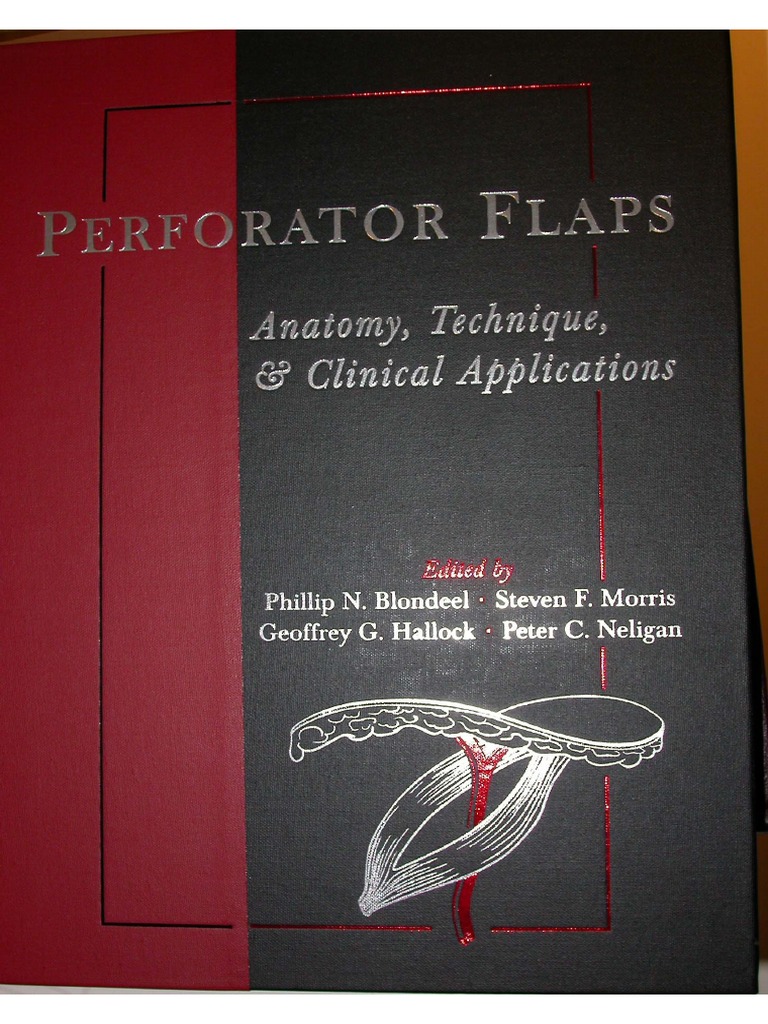 Perforator Flaps - Blondeel | PDF