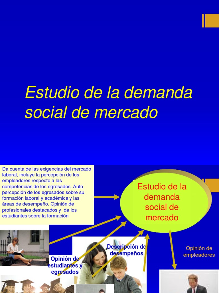 Estudio de La Demanda Social de Mercado | PDF | Educación Secundaria ...
