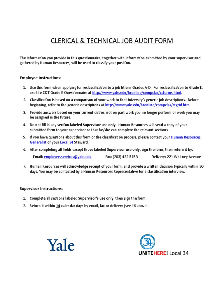 Job Audit Form | PDF | Employment | Spreadsheet