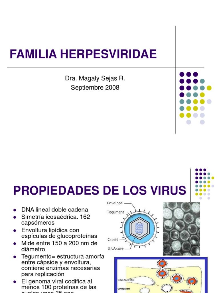 Familia Herpesviridae | Herpes Simple | Virus