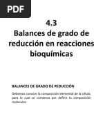 Principios de Ingenieria de Los Bioprocesos Doran-Solucionario | PDF