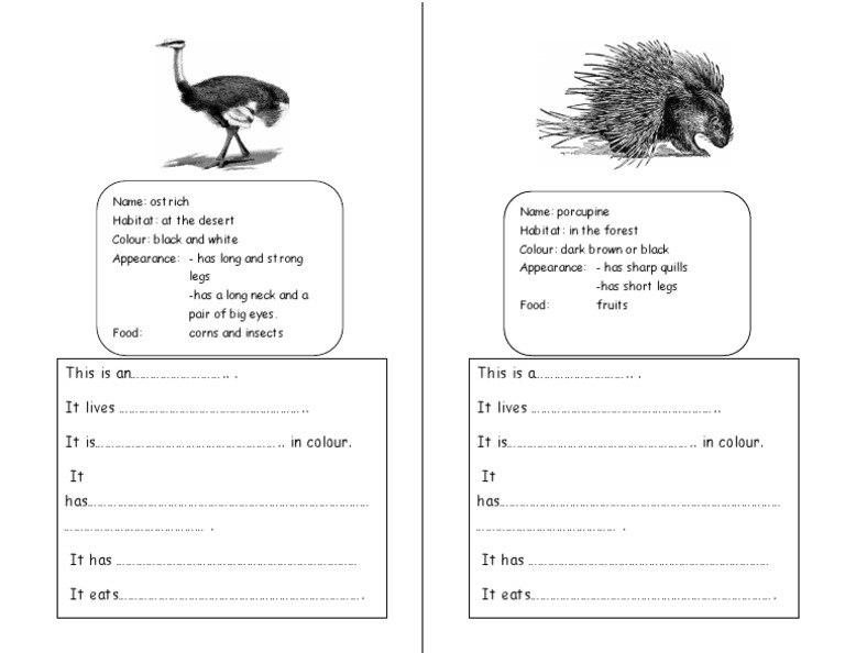 Writing Creatures | PDF