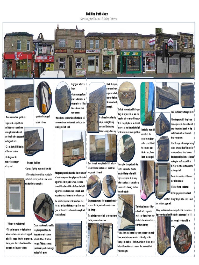 Building Pathology | PDF