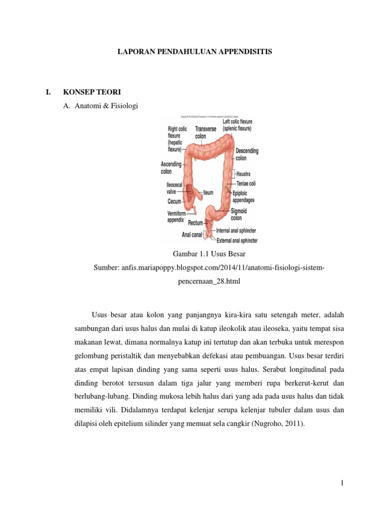 LP Apendisitis | PDF