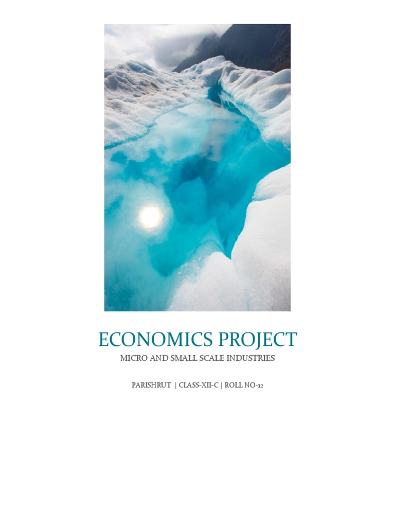 Economics Project | PDF | Industries | Small And Medium Sized Enterprises