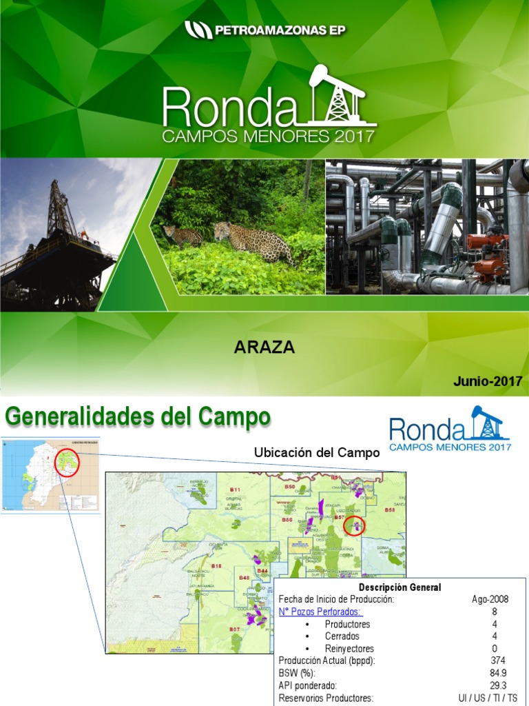 Araza PDF | PDF | Petróleo | Líquidos