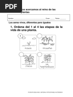 Prueba de Ciencias Naturales Las Plantas | PDF